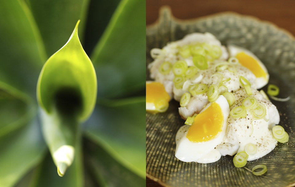 Anna Huerta Photography - Food